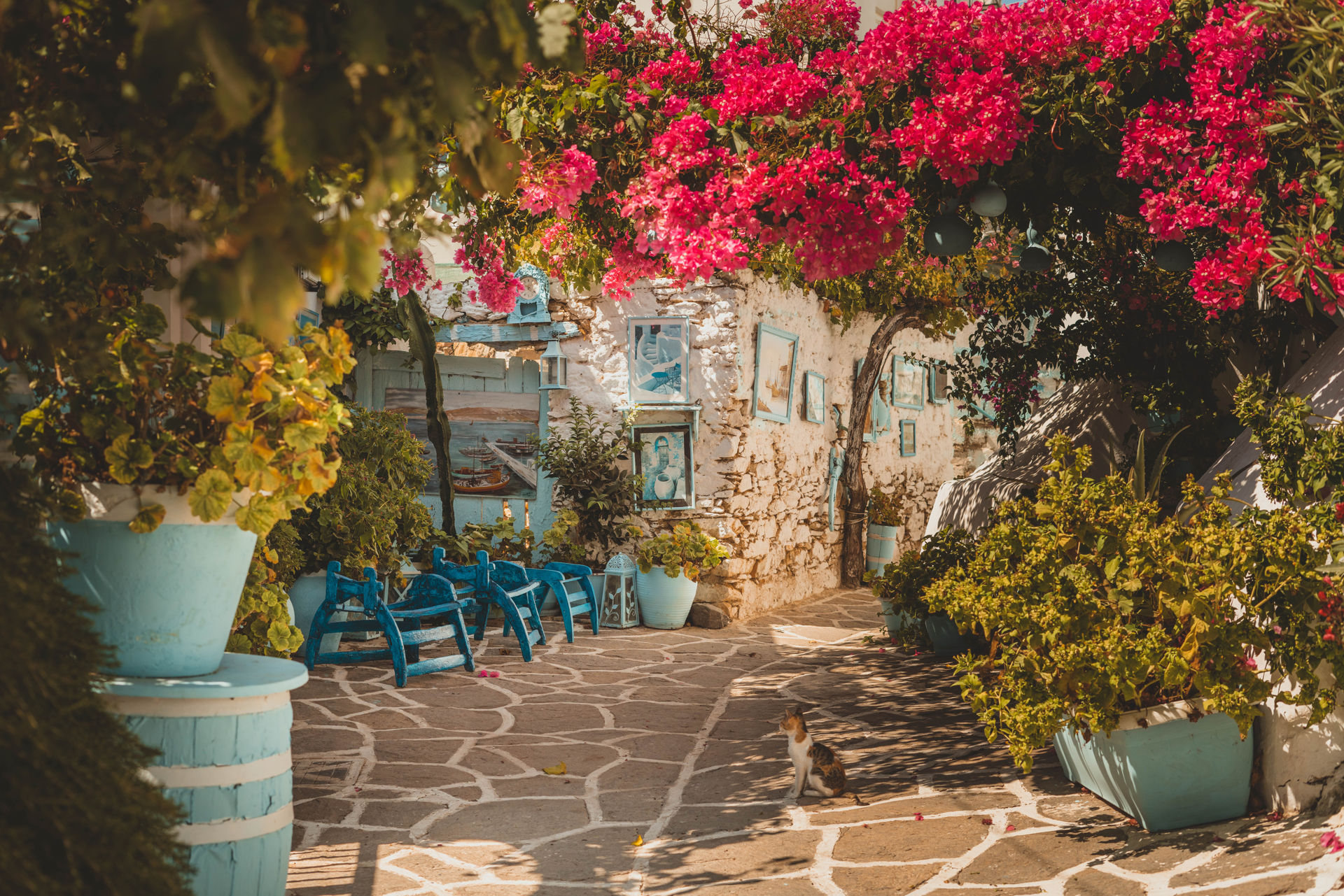 Why Paros is an ideal island for digital nomads | Work from Greece